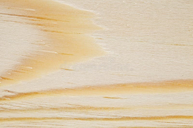 Wood Close-up, Processed Wooden Board, Tree Structure Background Close ...