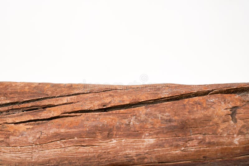 Wood Close Up Texture White Background Stock Image - Image of texture ...