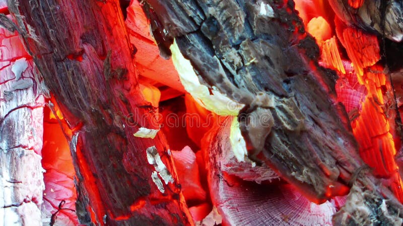 Wood and Coal Fire Burn stock footage. Video of coal - 93592036