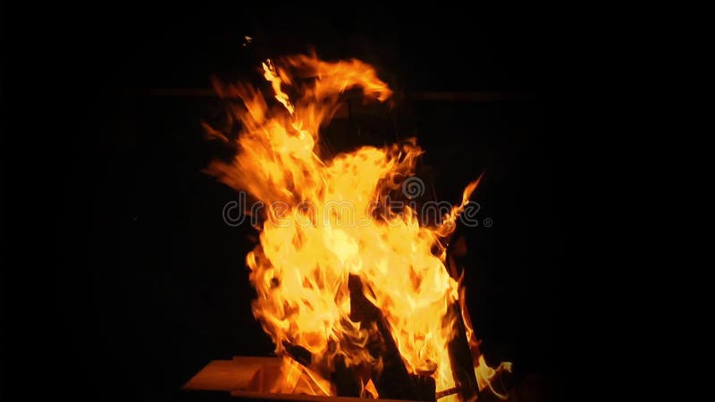 Wood and Coal Fire Burn stock footage. Video of coal - 93592036