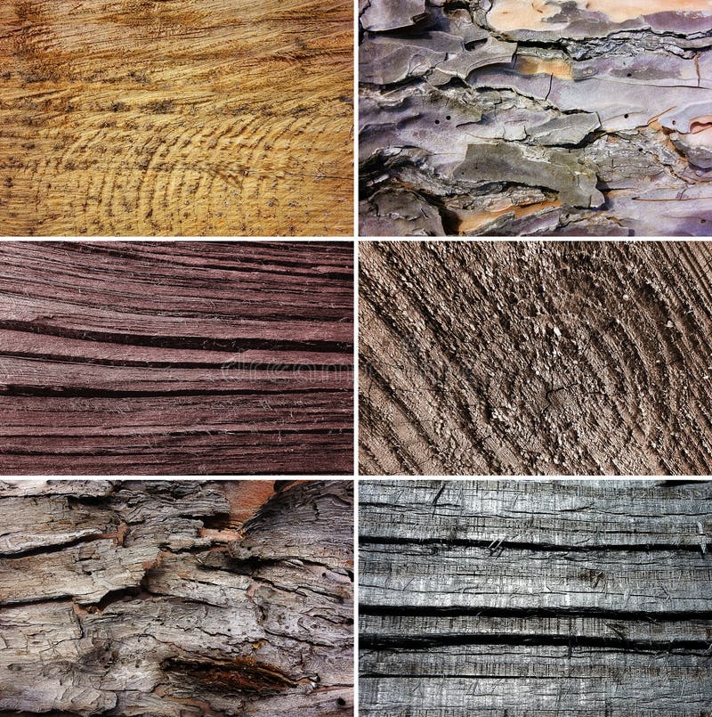 A wood collection stock image. Image of collection, nature - 21251339