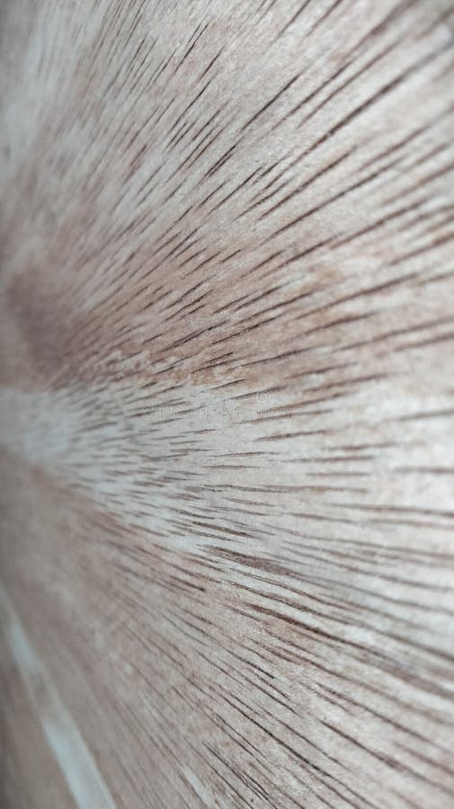 Wood color beckground stock image. Image of wallpaper - 320407891