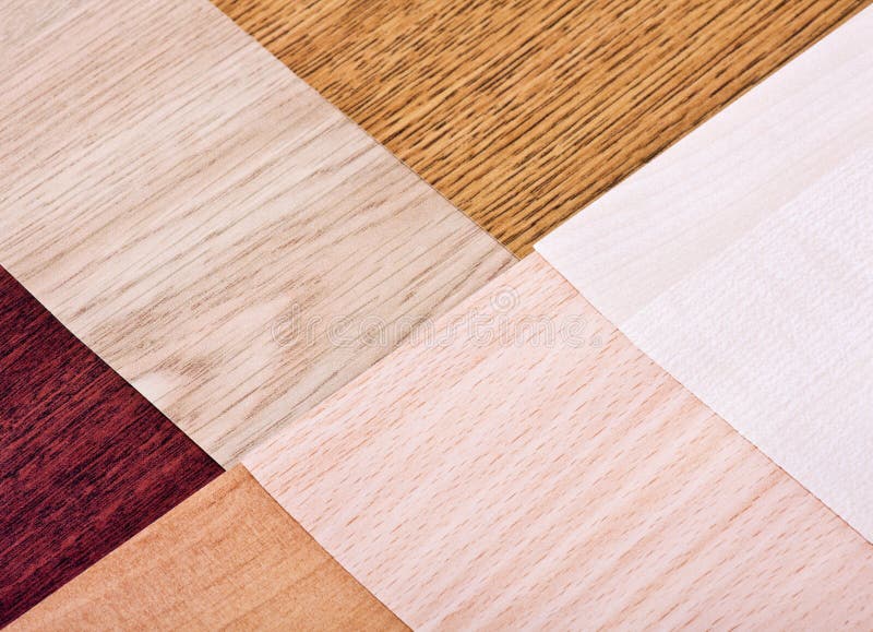 Wood Color and Texture Samples Stock Photo - Image of palette, layout ...