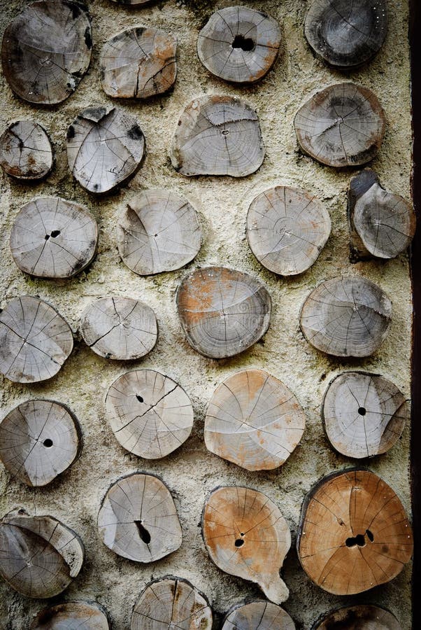 Wood in concrete wall stock image. Image of pattern, tree - 50843845