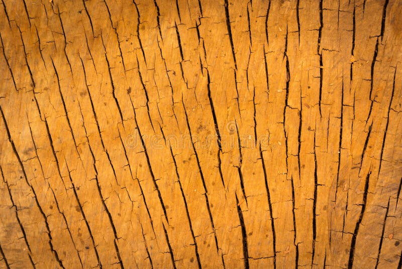 Wood Cracks Picture. Image: 91755990