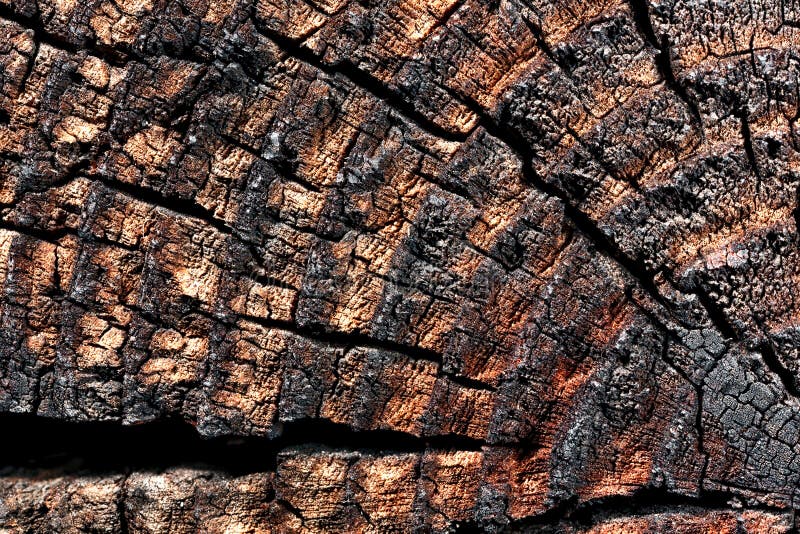 Wood with cracks stock image. Image of cracked, rough - 146110479