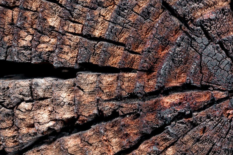 Wood with cracks stock photo. Image of aging, textured - 146110360