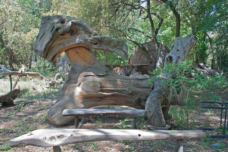 Wood creature stock image. Image of wood, foliage, sunlight - 94133925