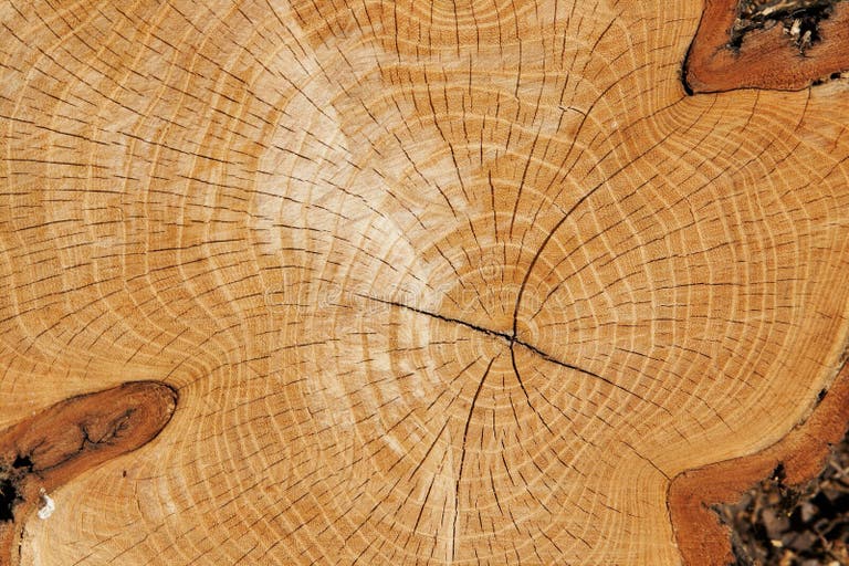 30,807 Rough Cut Wood Surface Stock Photos - Free & Royalty-Free Stock ...