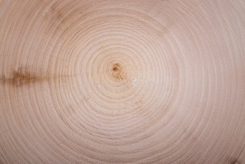 Wood cut circles texture stock image. Image of slice - 56157341