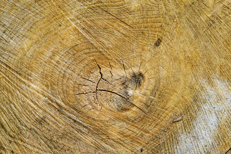 Annular Rings Stock Photos - Free & Royalty-Free Stock Photos from ...