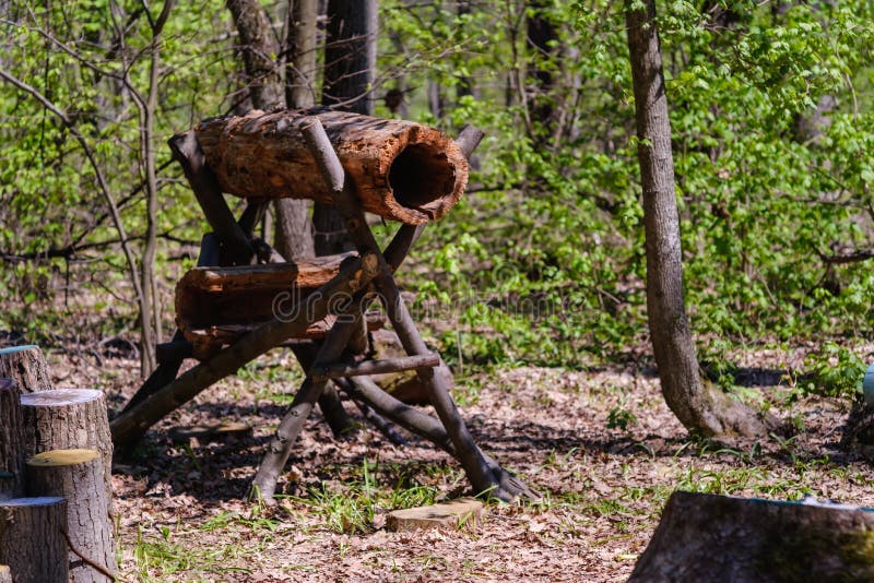 Wood Cut Lumber Tree Forest, Log Stock Photo - Image of pine, outdoors ...