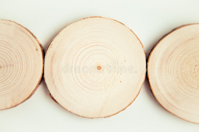 Saw Cuton Stock Photos - Free & Royalty-Free Stock Photos from Dreamstime