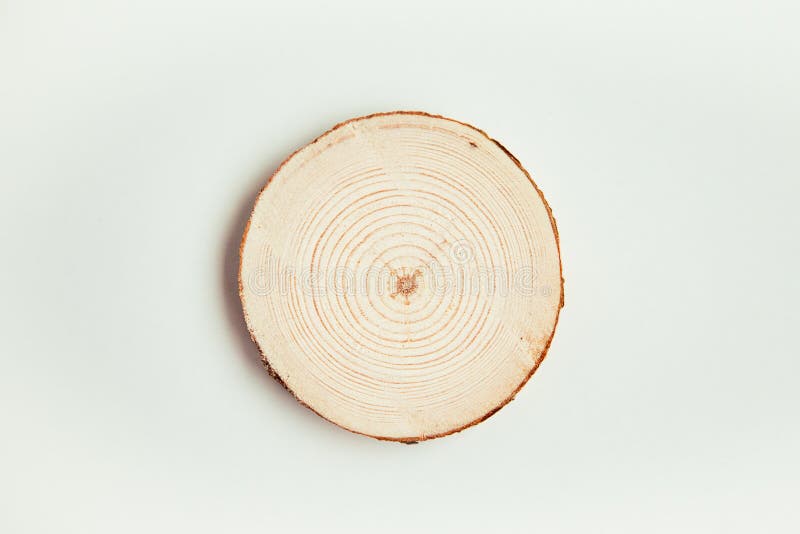 Wood Cut, Round Shape on the White Background. Round Wooden Saw Cut ...