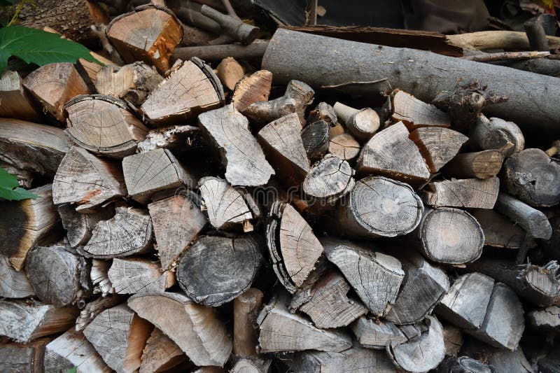 Cutted wood stock image. Image of build, nature, industry - 15078937