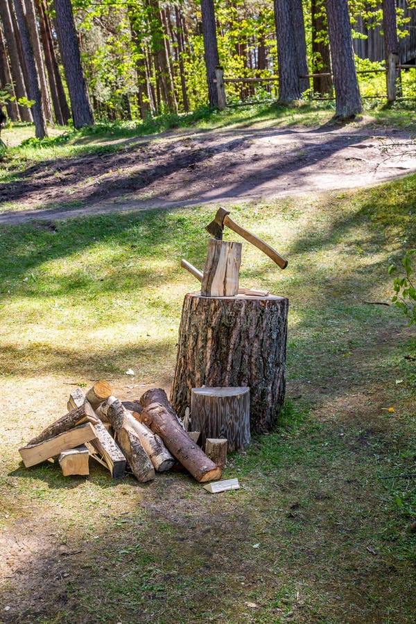 Wood Cutting with an Axe in the Forest Stock Photo - Image of tool ...