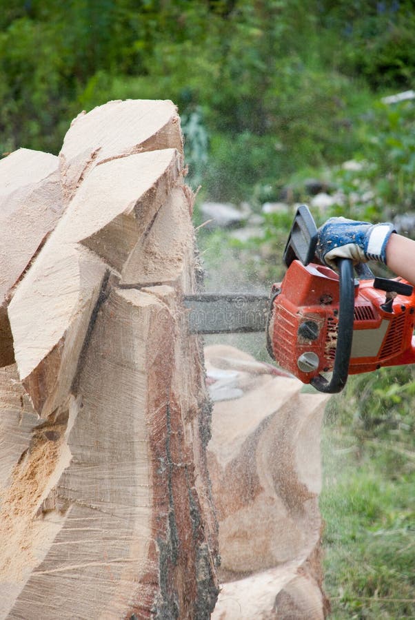 Wood Cutting with Chain Saw Stock Photo - Image of create, chainsaw ...