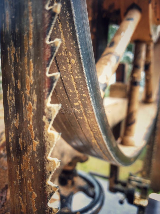 Wood Cutting Machine stock image. Image of wood, tree - 260851685