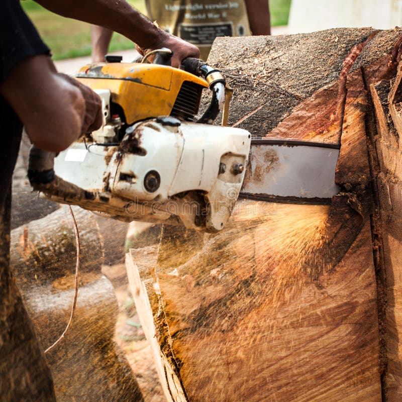 Wood cutting stock photo. Image of machine, tool, wood - 31079070