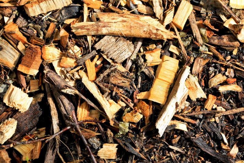 Wood Cuttings Picture. Image: 6222938