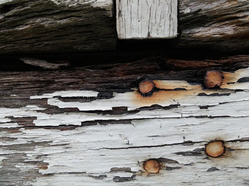 Wood decay stock photo. Image of object, background, bench - 51700306