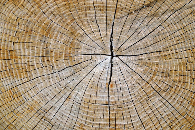 Wood Detail stock image. Image of close, intersection - 44228937