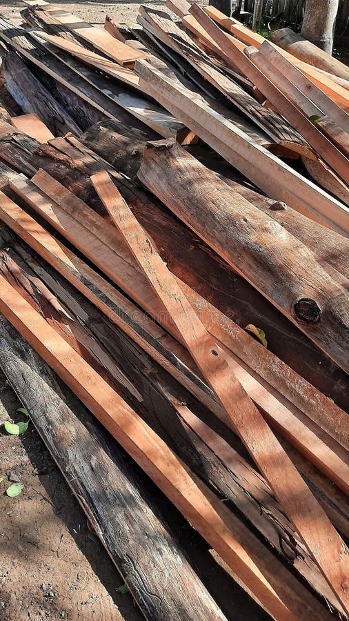 Wood of Different Shapes on the Floor Stock Photo - Image of natural ...