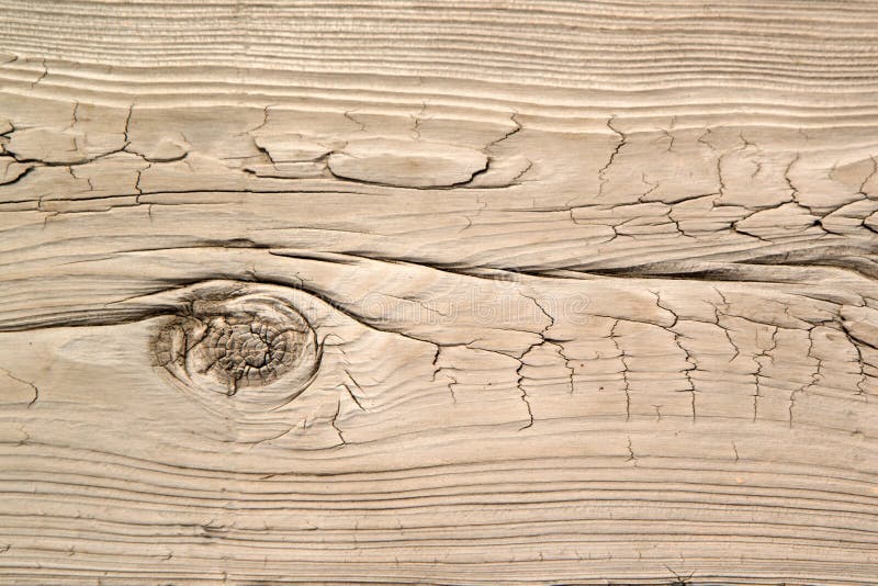 Wood Eye of Timber Vintage Old Wood Texture and Background Surface ...