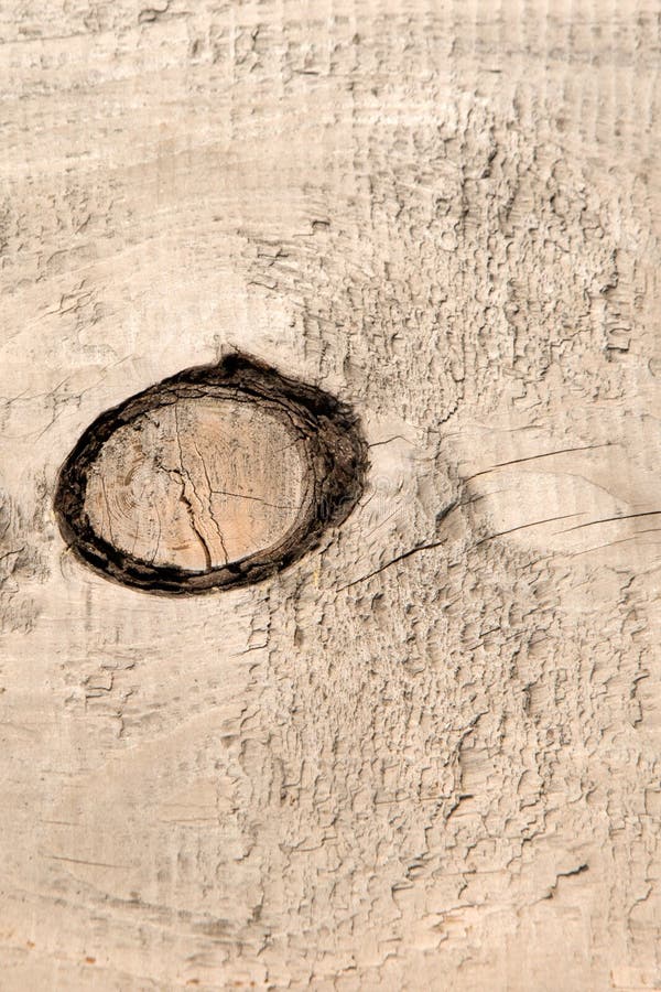 Wood Eye of Timber Vintage Old Wood Texture and Background Surface ...