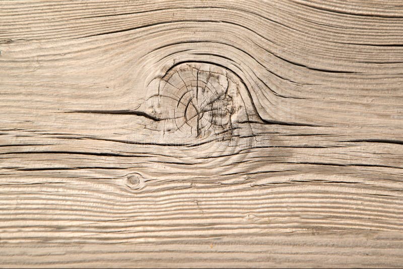 Wood Eye of Timber Vintage Old Wood Texture and Background Surface ...