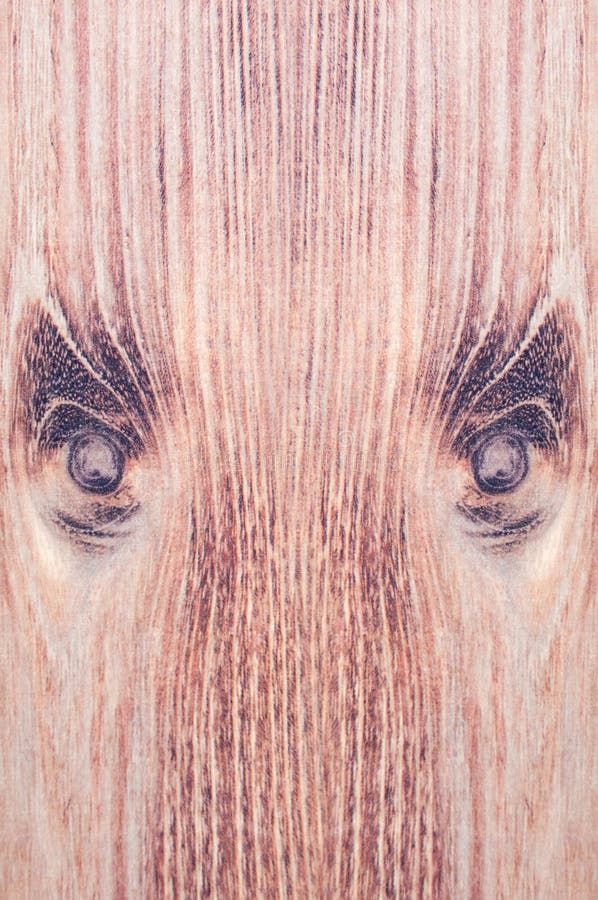 Wood face stock photo. Image of history, hickory, build - 55709654