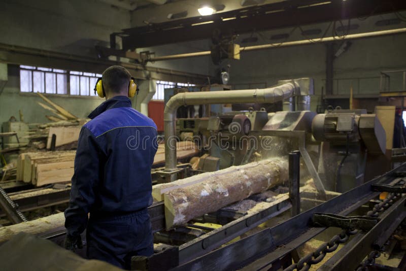 Wood factory editorial stock image. Image of conveyor - 47165219