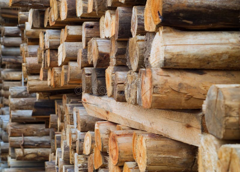 Wood in factory warehouse stock image. Image of industrial - 13559989