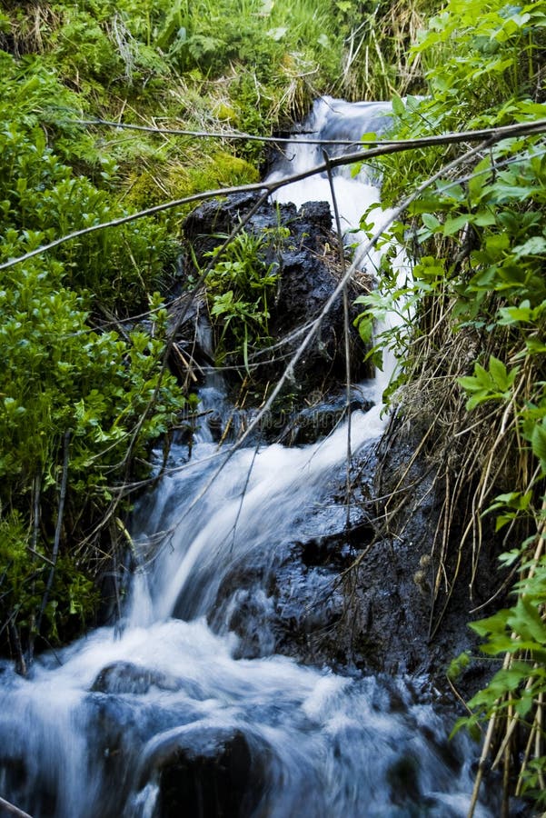 Wood falls stock photo. Image of precipitation, lush - 13176896