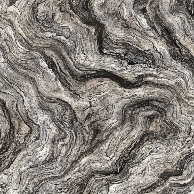 The Wood Features a Complex Grain Texture that Includes Swirling ...