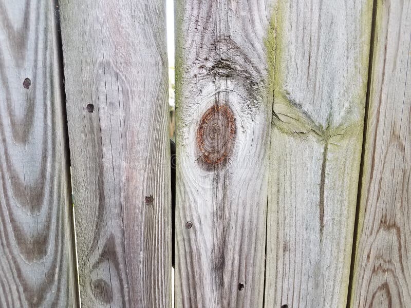 Wood Fence with Eye Shape in a Board Stock Image - Image of door, wood ...