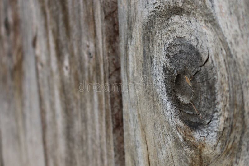 Wood Fence Plank - Angled with Depth Stock Photo - Image of angle, wood ...