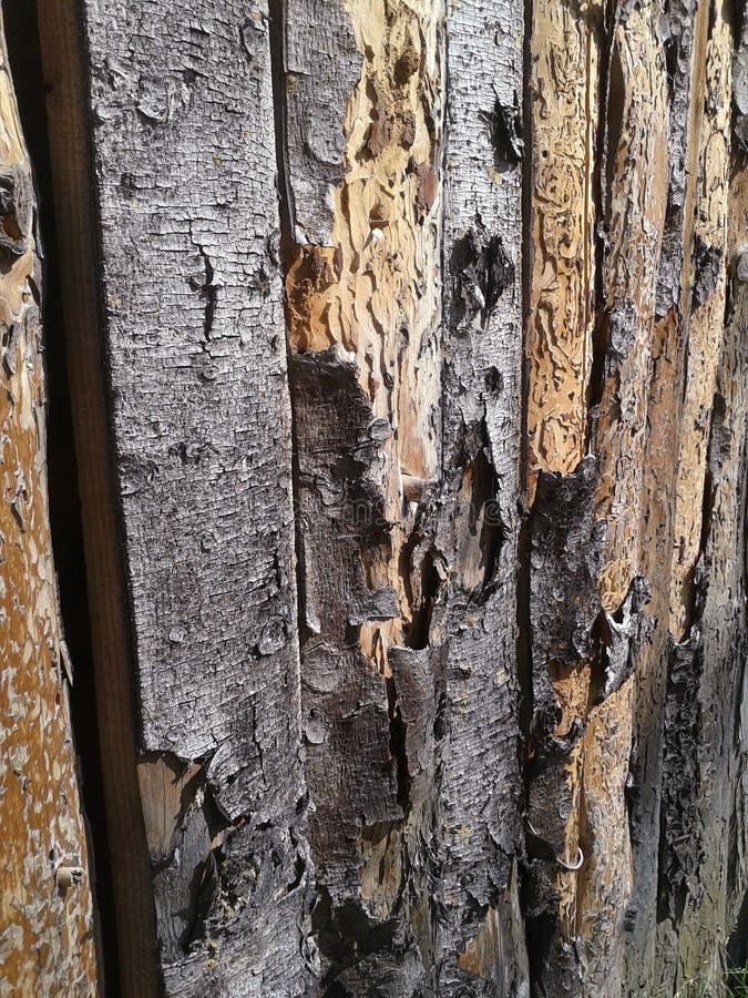 Wood fence stock image. Image of wooden, bark, texture - 42935413