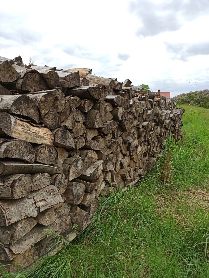 Wood on the field stock image. Image of work, cloud - 183079083