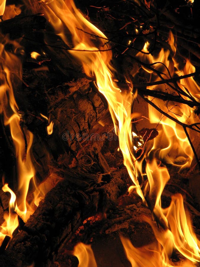 Wood Fire stock photo. Image of boiling, bright, scorch - 4769158