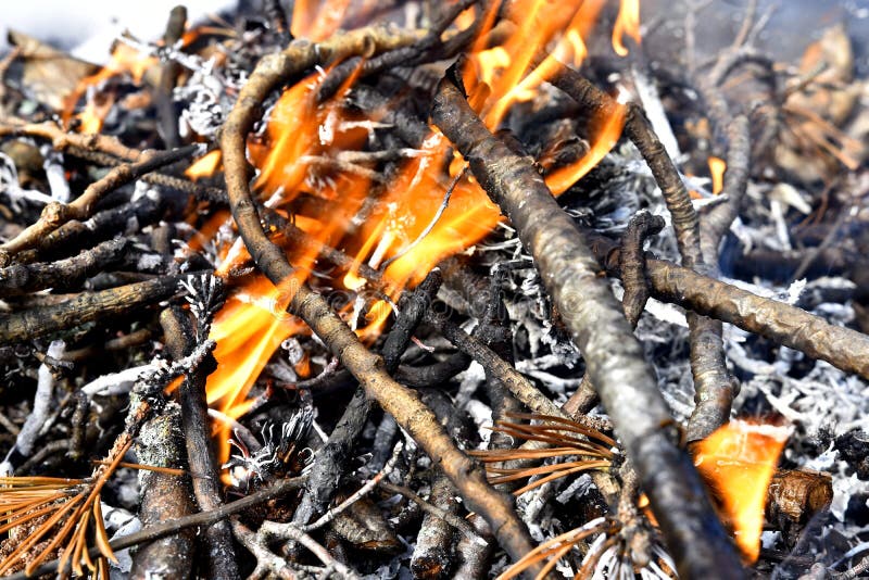 Wood Fire Background stock photo. Image of natural, bonfire - 127246970