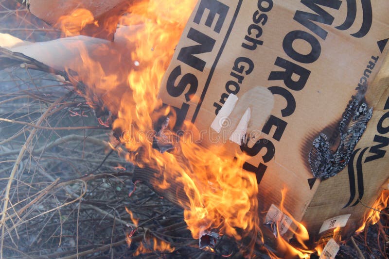 Paper and branched Flame editorial stock image. Image of flame - 136112774