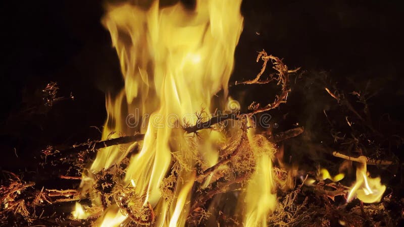 Fire Burning Flames Like Hell Stock Video - Video of burn, closeup ...
