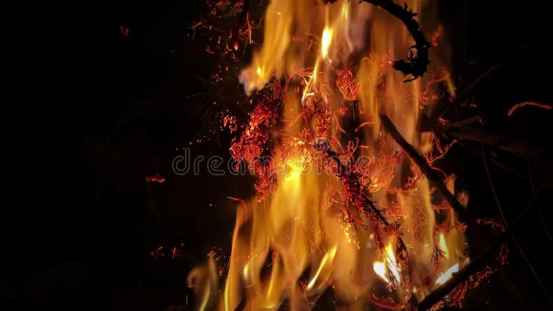 Fire Burning Flames Like Hell Stock Video - Video of burn, closeup ...
