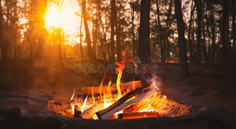 Wood Fire Lit in the Middle of the Forest Stock Illustration ...
