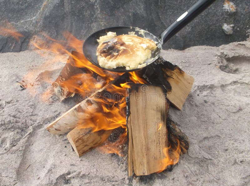 Wood fire stock photo. Image of nature, camping, summer - 55960542