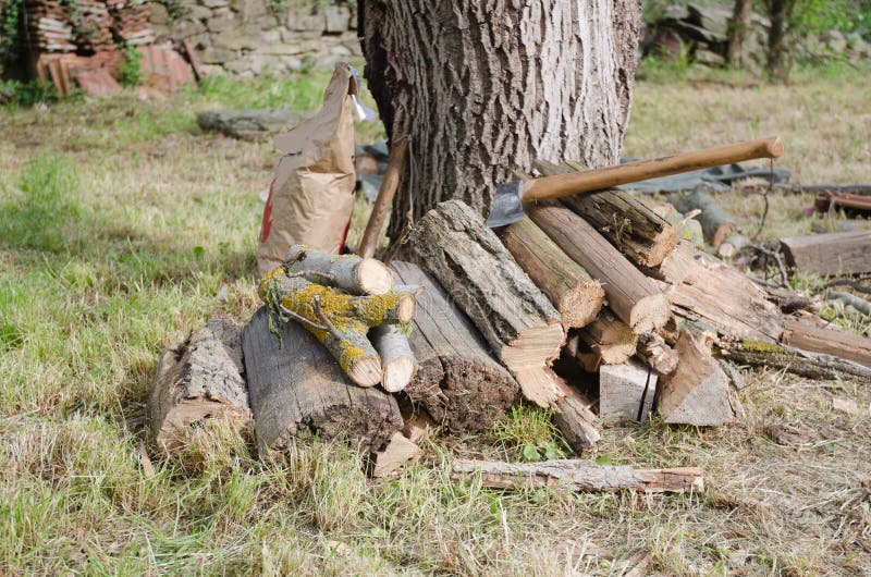 Wood for fire stock image. Image of ecology, fire, plant - 53992205