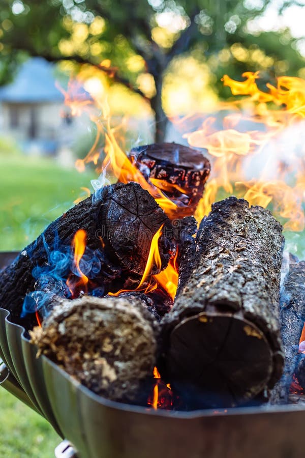 Wood Fire Prepared for Barbecue. Stock Image - Image of broil ...