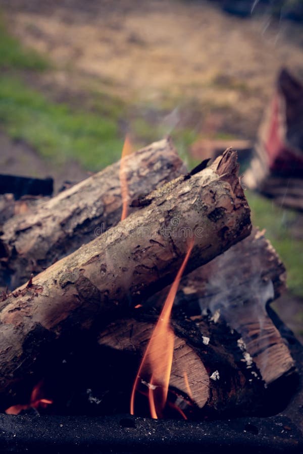 A Wood-fired Fruit Tree Grill with a Bright Hot Flame. Stock Photo ...