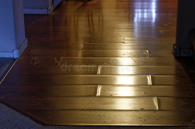 Water Damage to Wood Floor stock image. Image of structure - 239533743